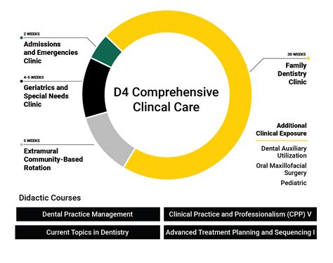 Curriculum College Of Dentistry And Dental Clinics The University