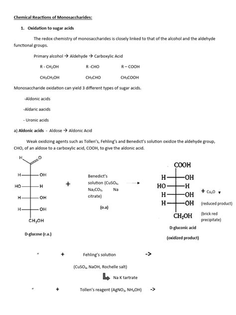 Reactions Of Monosaccharides Pdf Carbohydrates Glucose