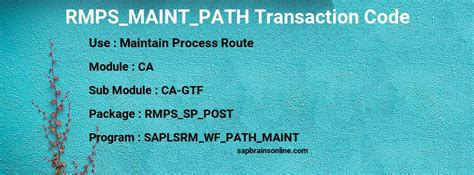 RMPS MAINT PATH SAP Tcode For Maintain Process Route