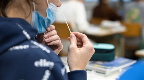 NSW Babes Asked To Take Rapid Antigen Twice A Week As Part Of Government S Return To Babe