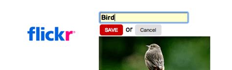 jquery ajax php and mysql projects