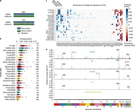 Discovery Of Phased Variants And Their Mutational Signatures Via Download Scientific Diagram