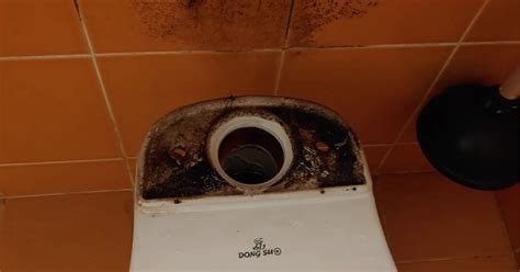 일단 너~무 친절하시구요 작업 시작전에 견적부터 작업과정까지 너무 꼼꼼히 설명해 주셨어요~작업 속도도 적당하고 마무리 청소까지 완벽했습니다~ 숨고 숨은고수