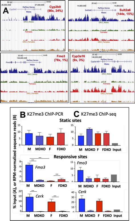 Sex Biased Genetic Programs In Liver Metabolism And Liver Fibrosis Are