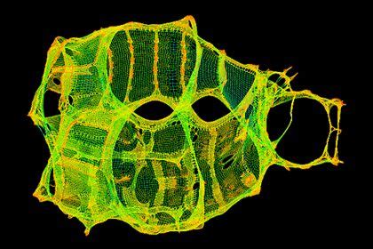 Sparse Matrix Artofit