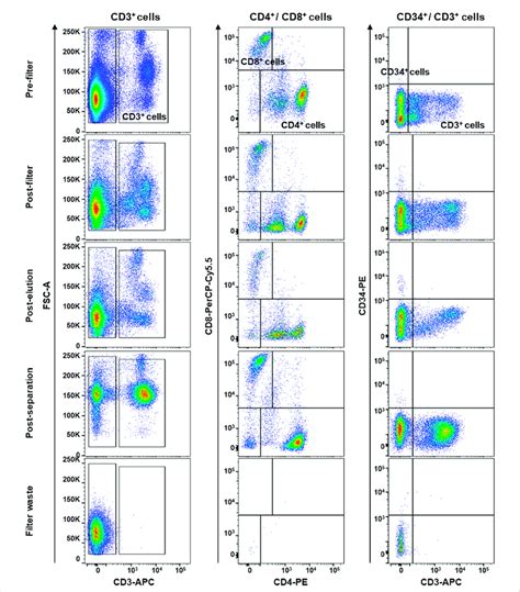 Flow Cytometry Immunophenotyping Of Peripheral Blood Mononuclear Cells