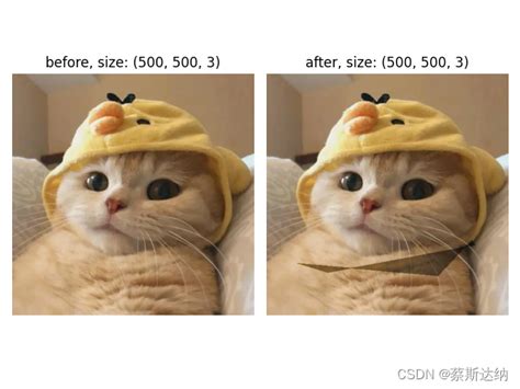 图像增强库albumentationsv130 20235中所有图像增强方法记录（class） Csdn博客