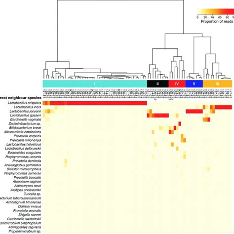 Clustering Of Vaginal Microbiome Profiles Based On Taxonomic Download Scientific Diagram