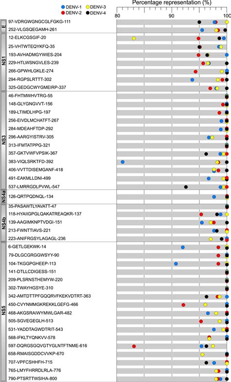 Pan Denv Sequences And Their Representations In The 4 Denv Types The
