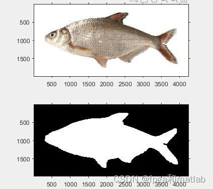 通过matlab实现水产养殖鱼类成熟度自动分析系统 matlab cat horse fish bird dog CSDN博客