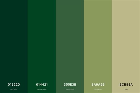 17 Hunter Green Color Palette Color Palette With Dark Green Hex 013220 Pakistan Green Hex