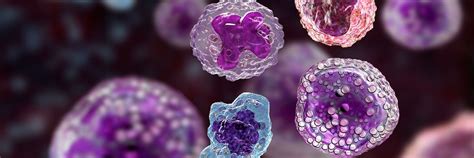 Transforming Bottlenecks Into Breakthroughs Solutions For Single Cell Sequencing Workflows