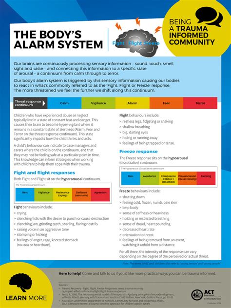 The Bodys Alarm System Pdf Fear Fight Or Flight Response