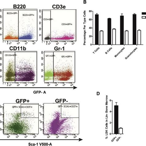 Donor Hsc Chimerism Following Mobilization Enabled Hsct A And B Download Scientific Diagram