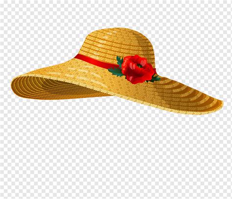 밀짚 모자 만화 여성 모자 만화 캐릭터 모자 생일 축 하 벡터 이미지 Png Pngwing