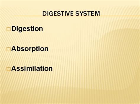 Human Systems Digestive System Digestive System Digestion Absorption