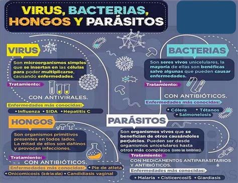 Virus Bacterias Hongos Y Parásitos Fraii Udocz