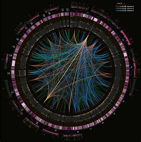 Circular Plot Depicting Main Interactions The Plot Shows On The