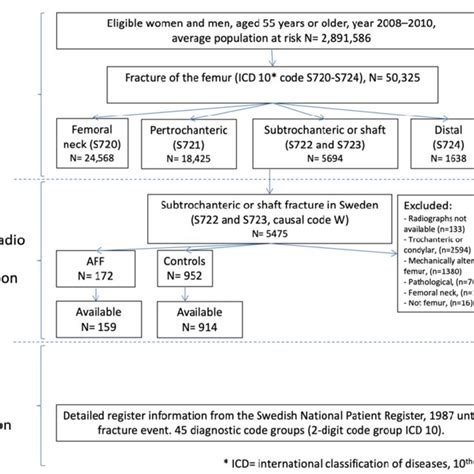 Flowchart Showing The Creation Of The Multimodal Dataset Using The Download Scientific Diagram