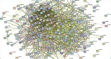 Comprehensive Investigation Of COVID RNA Sequencing Dataset RNA Seq Blog