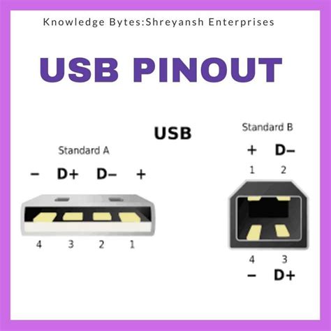 Usb D Type Connector Pinout A Comprehensive Guide