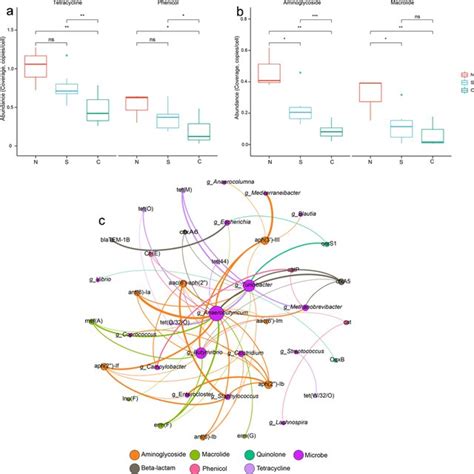 comparison of major arg types in the three regions and correlation download scientific diagram