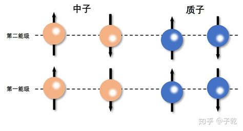 原子核内为什么基本都是一个质子一个中子的的比例？ 知乎