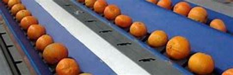 Automated Post Harvest Quality Grading And Sorting Systems A Scientific Insight