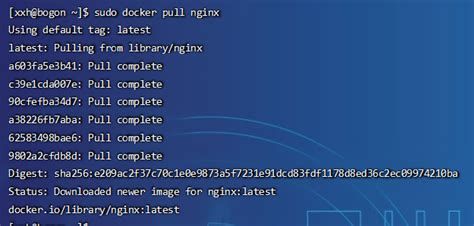 Docker离线部署Nginx 熊仔其人 博客园