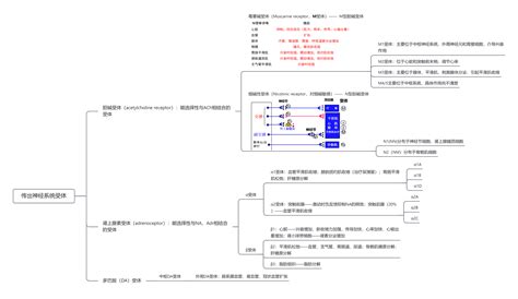 药理学——传出神经系统药理概论 知乎