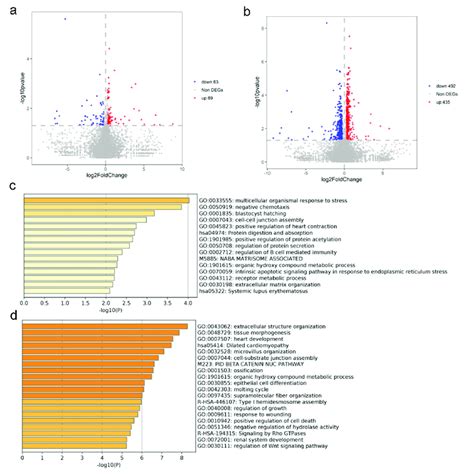 Functional Annotation For Differential Expressed Genes A Volcano