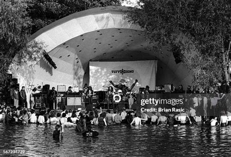 1 376 Bob Marley And The Wailers Photos And High Res Pictures Getty Images