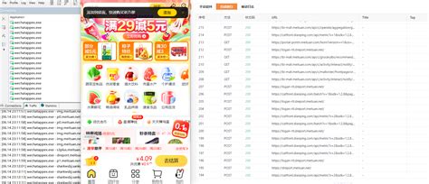 Yakit 配合 Proxifier 小程序抓包 Yak Program Language