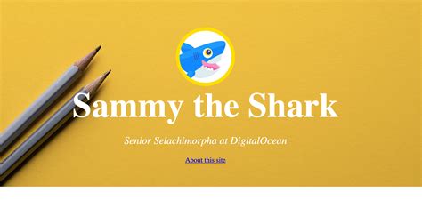 How To Create The Top Section Of Your Homepage With HTML DigitalOcean
