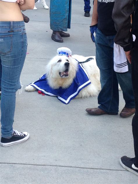 Melted Marshmallow Rthisismylifenow