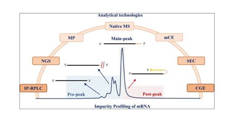 Oscar R Miranda Phdmbabe Hehim On Linkedin Comprehensive