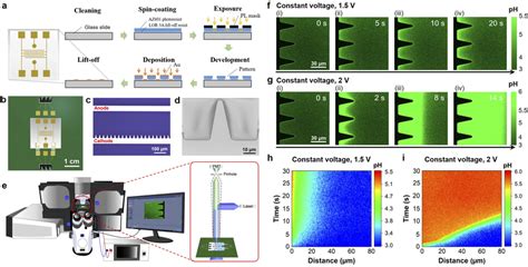 A Fabrication Schematics Of Au Microelectrode Chip By Download