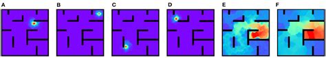 frontiers a computational model of learning flexible navigation in a