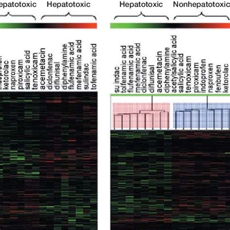 Hierarchical Clustering Using Different Probes Between Nonhepatotoxic Download Scientific