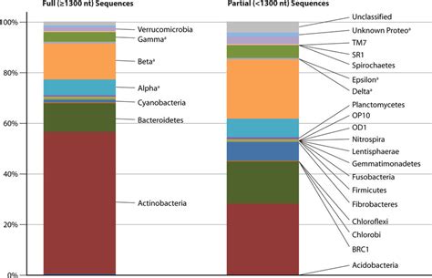 Stacked Bar Plot Representing The Distribution Of Sequences By Phylum