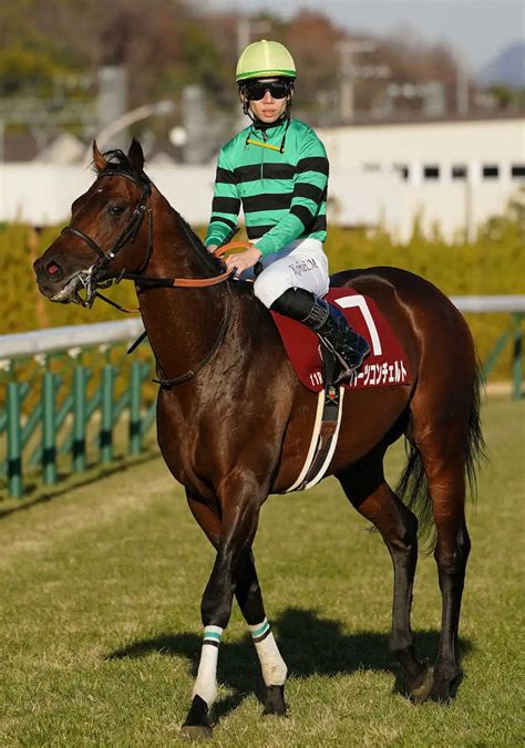 日経新春杯4着ハーツコンチェルト、サウジアラビア遠征へ ネオムターフカップ招待受諾 スポニチ競馬web