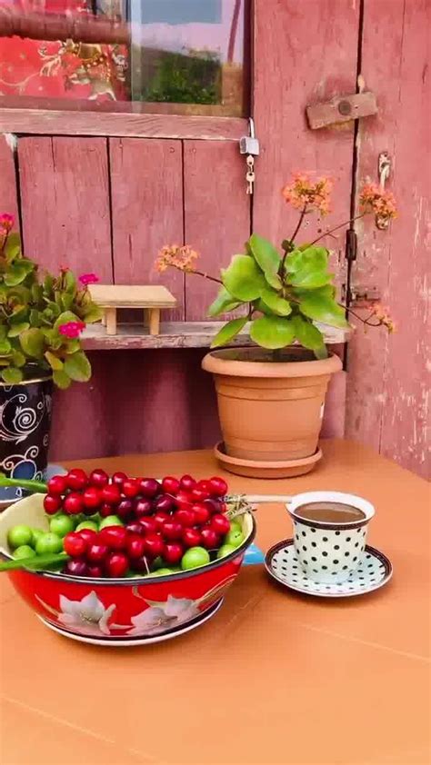 ბედნიერი დღე და სიყვარულით სავსე ცხოვრება მისურვებია ☀️💛🥰☕️🕊🌸🍒 დამიმეგობრდით ინსტაგრამზე