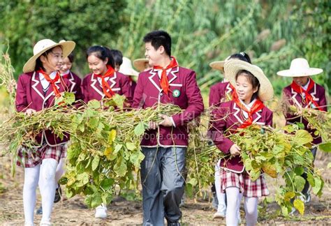 江苏海安：田间课堂体验劳动乐趣 人民图片网