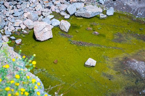 화강암 돌의 채 석 장 오픈 구 덩이 마이닝의 화려한 보기 프로세스 생산 돌 그리고 자갈입니다 채 석 장에서 지 하 수입니다