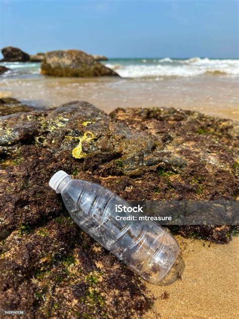 썰물 때 바위 웅덩이에 씻겨진 흰색 뚜껑이 있는 비어 있고 투명한 플라스틱 물병 해안의 해양 쓰레기 및 오염 흩어지는 모래 더러운 해변 전경에 초점 0명에 대한 스톡 사진