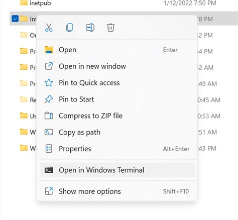 Open With Windows Terminal Context Menu Not Display On Desktop Or Right Click Without