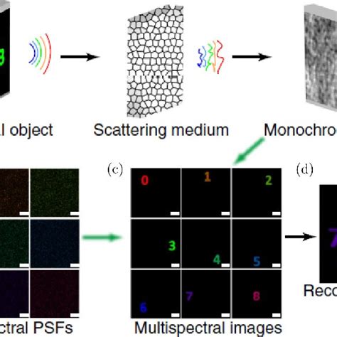 Schematic Of Single Shot Multispectral Imaging With A Monochromatic