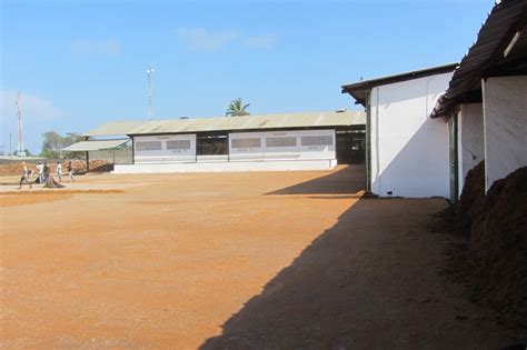 Independent Substrate Consulting