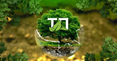 ΤΜΗΜΑ ΠΕΡΙΒΑΛΛΟΝΤΟΣ Αρχική