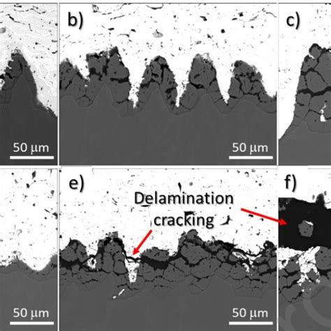 A B C Sic C1 Ebcs And D E F Sic C2 Ebcs After 1 H Steam Download Scientific Diagram